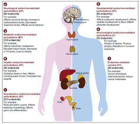Endocrine Disruptors Mérieux Nutrisciences Blue Paper