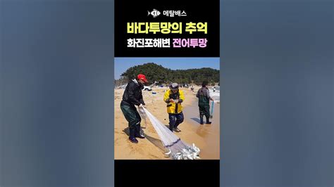 바다투망 추억영상 화진포해수욕장 김항태 투망달인의 대전어투망 고성 동해바다 화진포해변 봄전어 그물낚시castnet