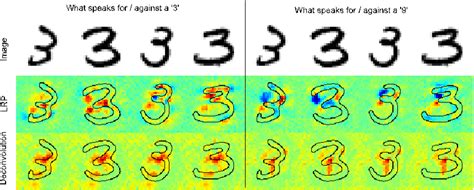 Pdf Evaluating The Visualization Of What A Deep Neural Network Has