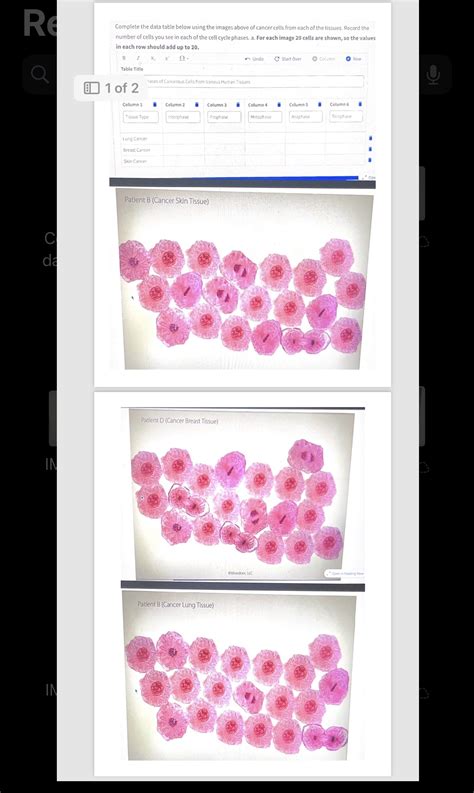 Solved Complete The Data Table Below Using The Images Above