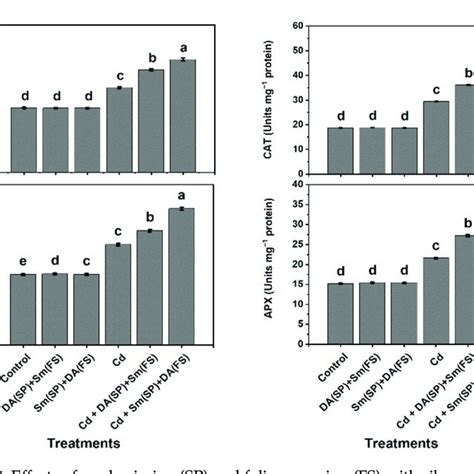Effects Of Seed Priming Sp And Foliar Spraying Fs With Silymarin