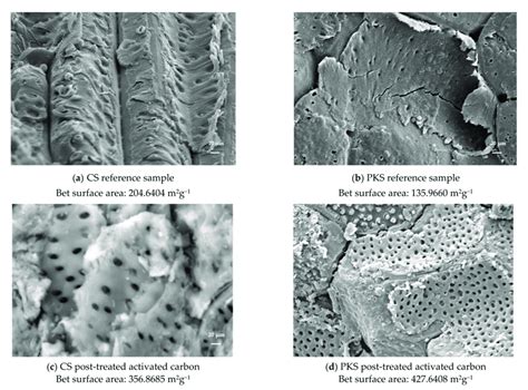 scanning electron micrographs of a b activated carbons prepared at