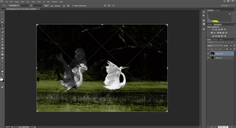 How To Crop In Photoshop