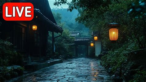 힐링 Asmr 🌧️ 빗소리로 가득한 평온한 밤 잠이 솔솔 오는 자연의 소리 Youtube
