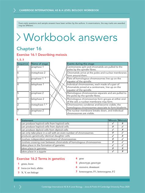 Workbookexerciseanswerschapter16asalbiologypdf Pdf Meiosis