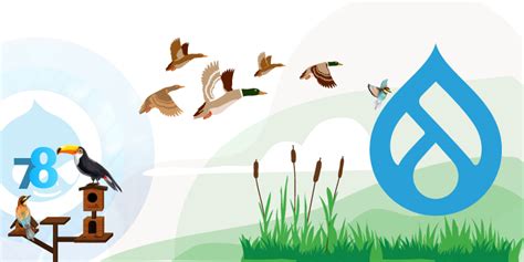 why do you need to migrate to drupal 9 drupal partners