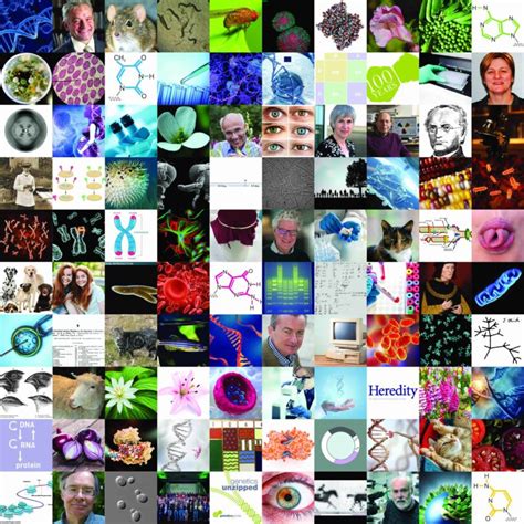 Beneficial Traits Are From Heredity Not Mutations Of Long Ago