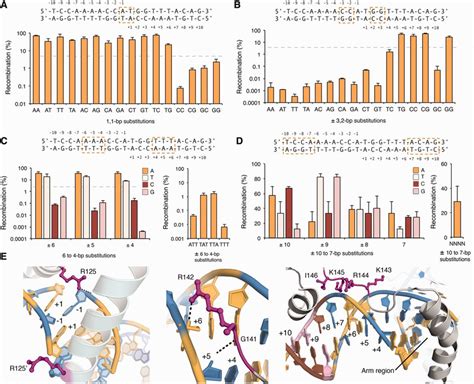 Specificity Of The Gin Recombinase Catalytic Domain Ad