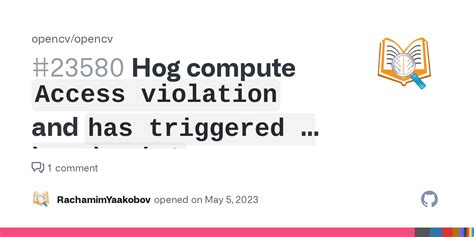 Hog Compute `access Violation` And `has Triggered A Breakpoint` · Issue 23580 · Opencvopencv