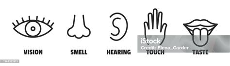 최소한의 Sence 아이콘 눈 코 귀 손 혀 감각 기호 벡터 감각 간단한 기호 손에 대한 스톡 벡터 아트 및 기타 이미지 손 감각 지각 눈 신체 부분 Istock