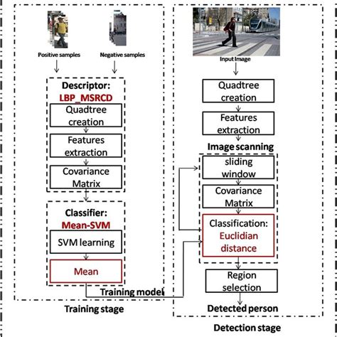 Examples Of Pedestrian Detection Using The Proposed Approach Download Scientific Diagram