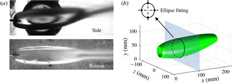 On The Internal Flow Of A Ventilated Supercavity Journal Of Fluid