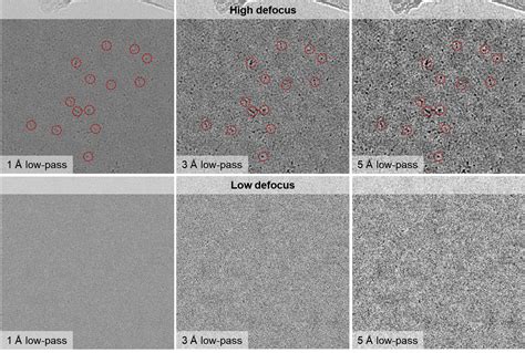 difficulty in aligning small low snr particles protein