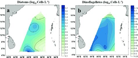 Cell Counts Of Diatoms Bacillariophyceae A And Dinoflagellates