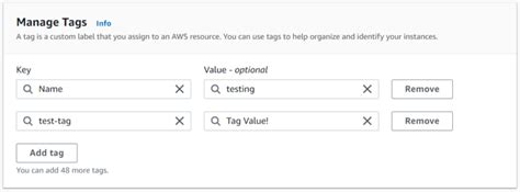 bash script to get aws ec2 tag value for a running instance