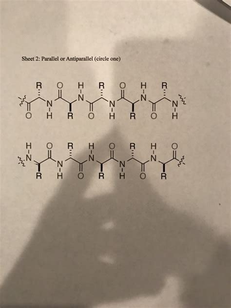 Solved Basic Concepts Worksheet 1.3 Description: Peptides | Chegg.com