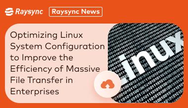 Raysync News
