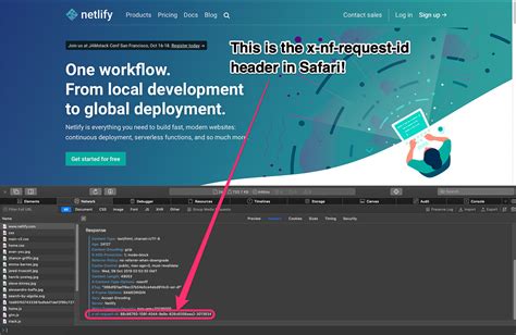 [support guide] netlify support asked for the x nf request id header
