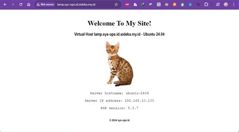 Install Lamp Stack Apache Mysql 80 Php 83 On Ubuntu 2404 Sys