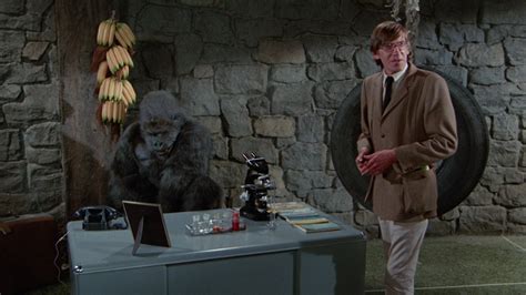 DVD Exotica Remembering The Man With Two Brains