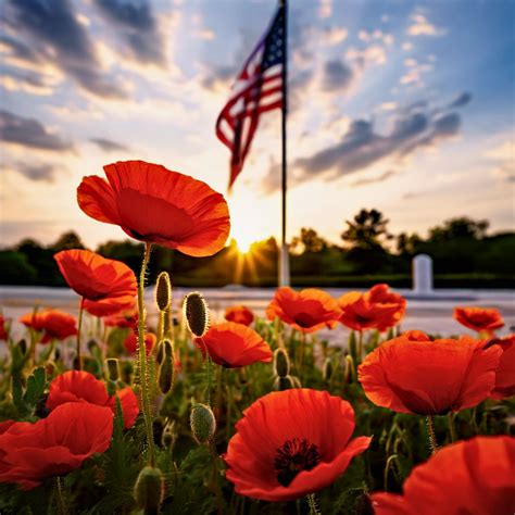 A Floral Tribute Honoring Fallen Heroes On Memorial Day