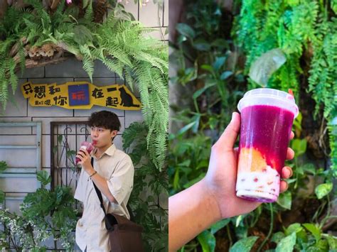 台東美食推薦｜4 間網路超人氣必吃台東排隊美食 藍蜻蜓炸雞、浮誇水果珍奶、陳家蔥油餅黑輪、榕樹下米苔目 蕃新聞