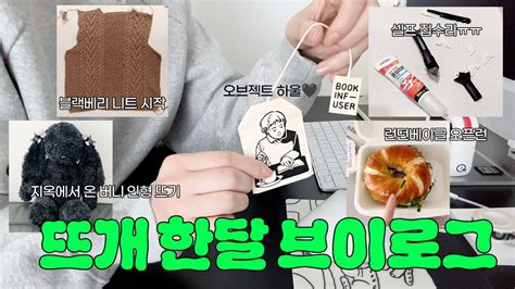 코바늘과 대바늘을 넘나드는 뜨개 브이로그🧶셀프 집수리다이어리 추천new 뜨개용품런던베이글케이스티파이 Youtube