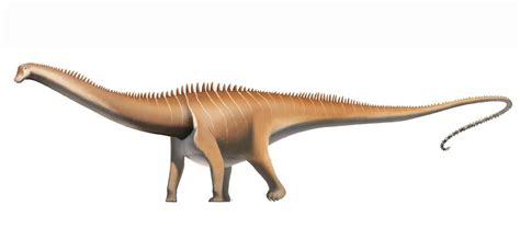 Diplodocus The Long Necked Iconic Dinosaur Of The Jurassic