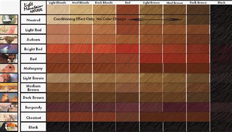 Brown Hair Color Chart Coloring Hair And Hair Highlighting Will Be