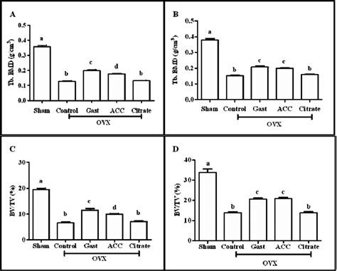 Trabecular Bone Mineral Density Tb Bmd And Bone Volume From Total Download Scientific Diagram