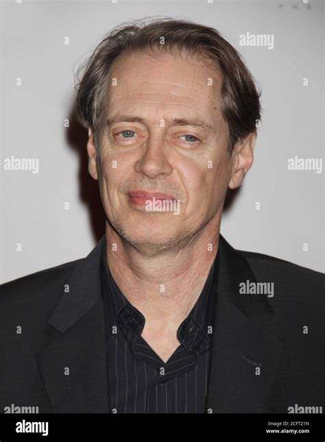 Steve Buscemi 2010 Photo By John Barrett Photolink Mediapunch Stock