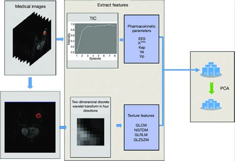 Data Processing Flow Diagram Ees Extravascular Extracellular Space K Download Scientific