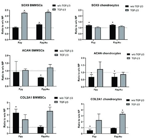 Chondrogenic Gene Sox9 Acan Col2a1 Expression In Bmmscs And