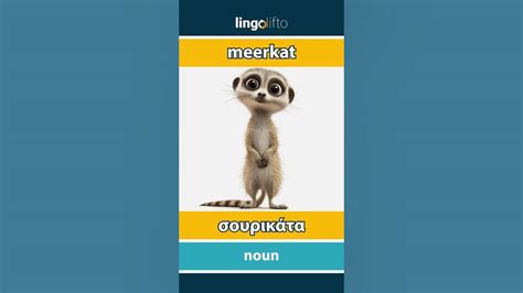🇬🇧🇬🇷 Meerkat σουρικάτα Learn English ας μάθουμε αγγλικά