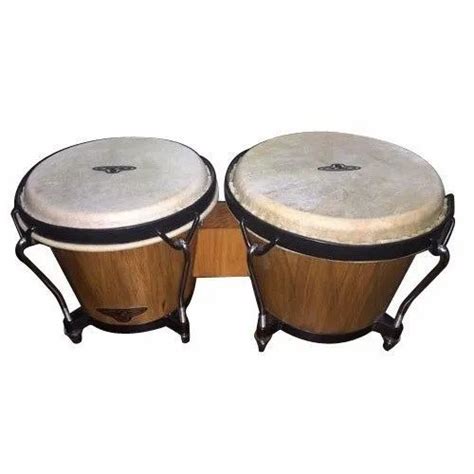 Percussion Instruments At Best Price In India