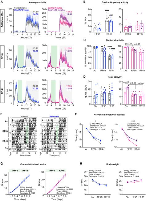 Hypothalamic Astrocytic Bmal1 Regulates Energy Homeostasis In A Sex