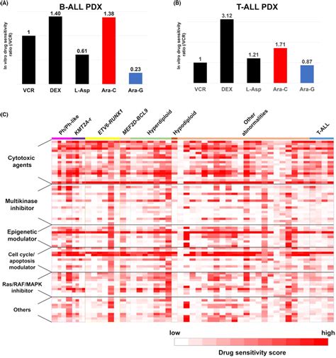 Pdx Cells Are Useful Resources For In Vitro Drug Testing A B In Download Scientific Diagram