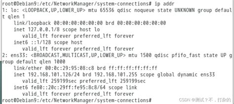 debian 查看与修改ip，设置多ip，network与networkmanager配置 debian修改ip地址 csdn博客