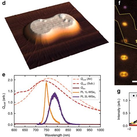 Coupling Of An Atomically Thin Semiconductor To A Dielectric