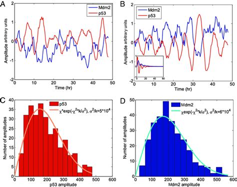 Stochastic Simulation Shows Sustained Oscillations A And B Shown Are Download Scientific