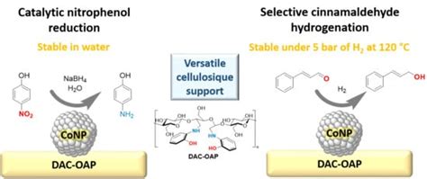 Schiff Base Functionalized Cellulose Towards Strong Support Cobalt Nanoparticles Interactions