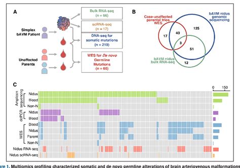 Figure 1 From De Novo Germline And Somatic Variants Convergently Promote Endothelial To