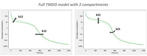 Full Tmdd Model Mlxtran