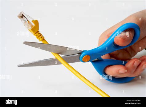 Network Cable Cutting Stock Photo Alamy