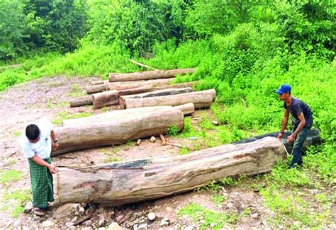 အစိုးရရုံးပိတ်ရက်နှင့် အများပြည်သူအလုပ်ပိတ်ရက်များ၏ ကြားရက်များကို တစ်ဆက်စပ်တည်းပိတ်ပေးပြီး ပိတ