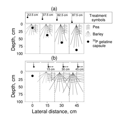 Schematic Illustrations Of The P Placements In The Field When Download Scientific Diagram