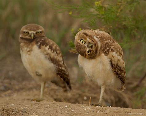 가장 아름다운 풍경 가장 아름다운 사진 9