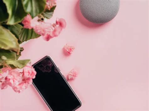 How To Set Up Google Nest Mini With IPhone Brainyhousing