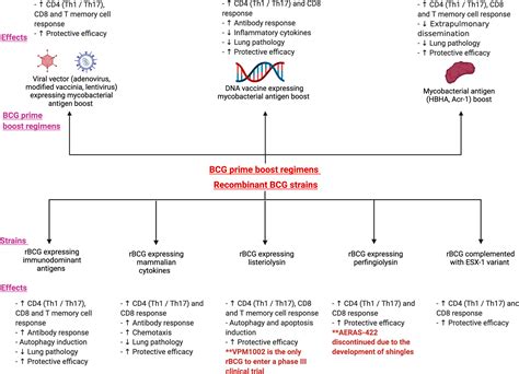 Safety Of Human Immunisation With A Live Attenuated 48 Off