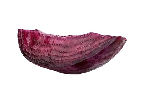ai generated sliced beetroot png 41164017 png